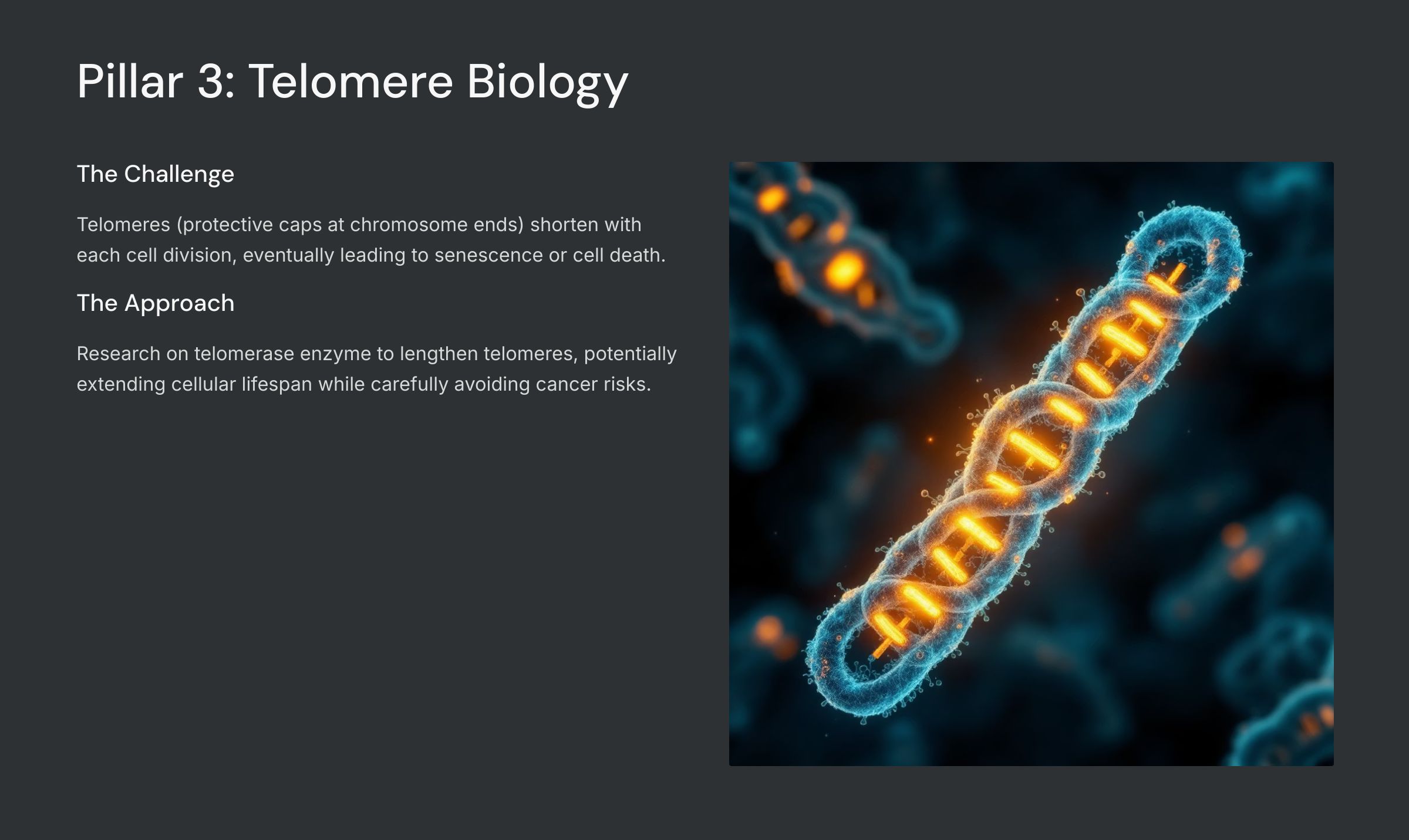 Decoding Tomorrow: 30 Megatrends – #11 Longevity Science: “The future ...